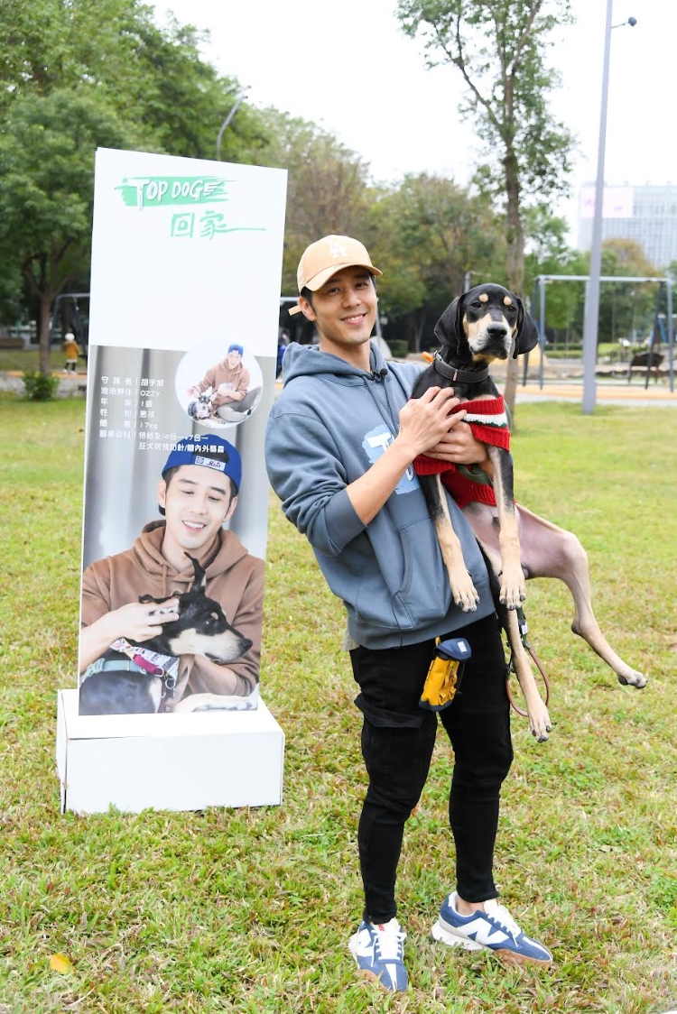 《TOP DOG回家》快閃認養會「為你找個家」！眾人不捨浪浪超催淚
